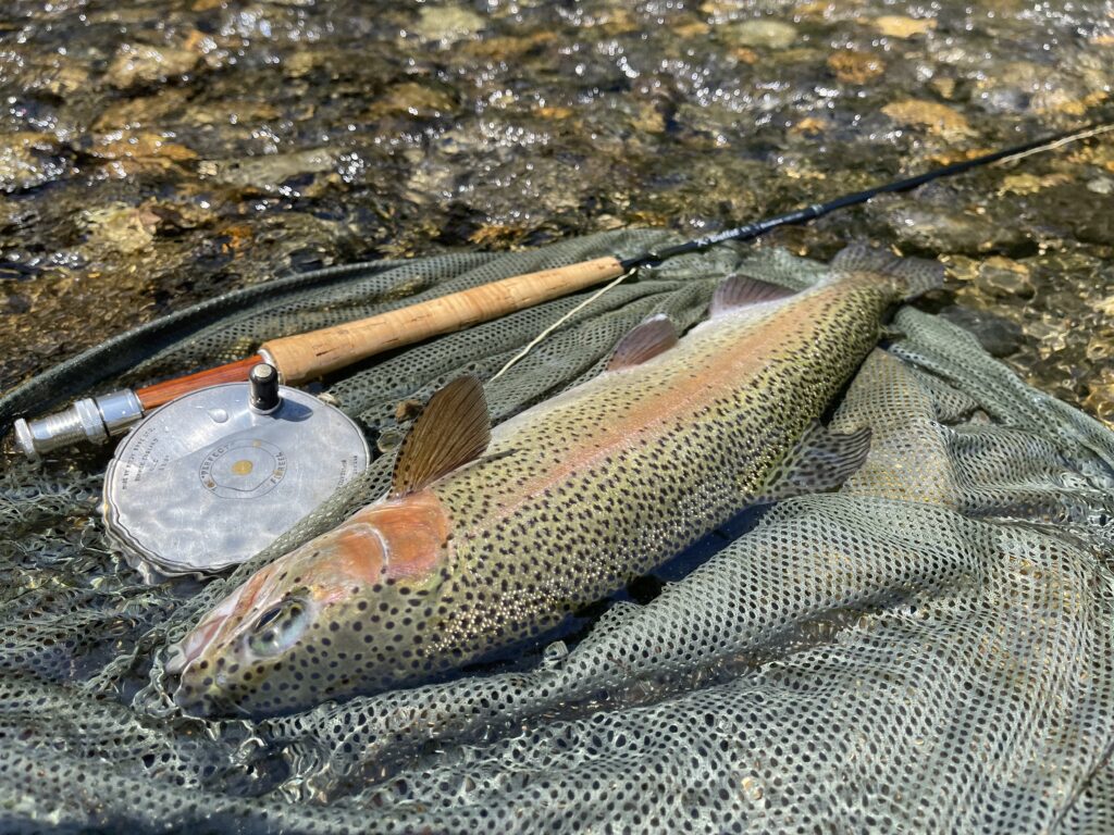 Fly Fishing Workshop – 北海道の自然にふれよう Poussin